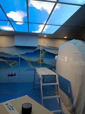 UMR 890 Mri Shielding Design Shielding Solution Rf Shielding Material ...